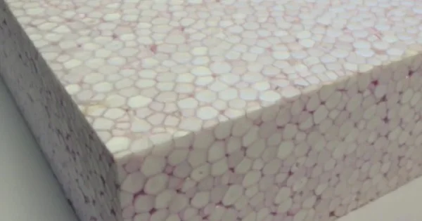 Claymaster - 75mm | Unity Building Supplies | Order Online