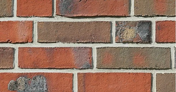 Röben | Clinker and Facing Bricks IMPORT | Brighton Warehouse