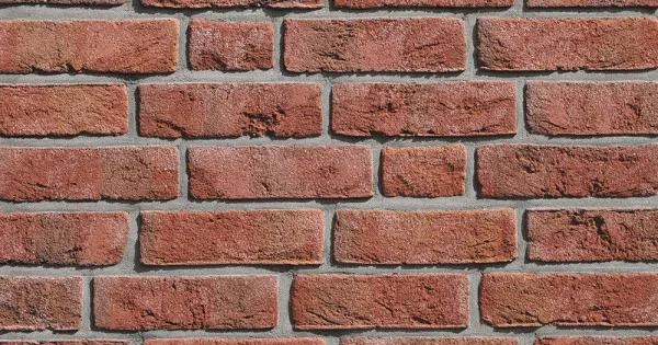 Röben | Facing Bricks, Hand-Molded | Brighton Warehouse